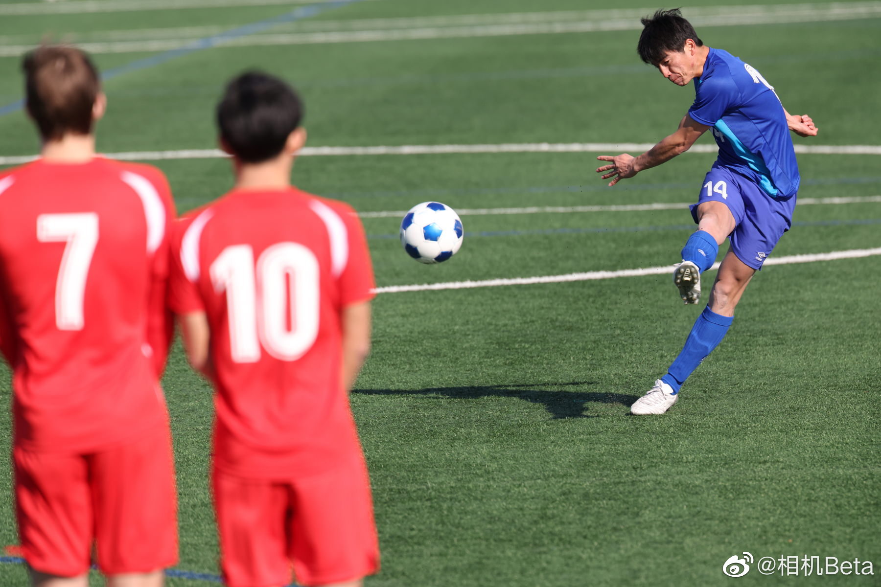 佳能RF100-300mm F2.8 L IS USM镜头官方样片|佳能|USM镜头|样片_新浪新闻