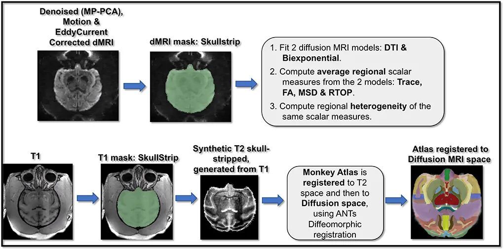 Frontiers in Neuroimaging：神经影像数据分析技术最新进展__财经头条