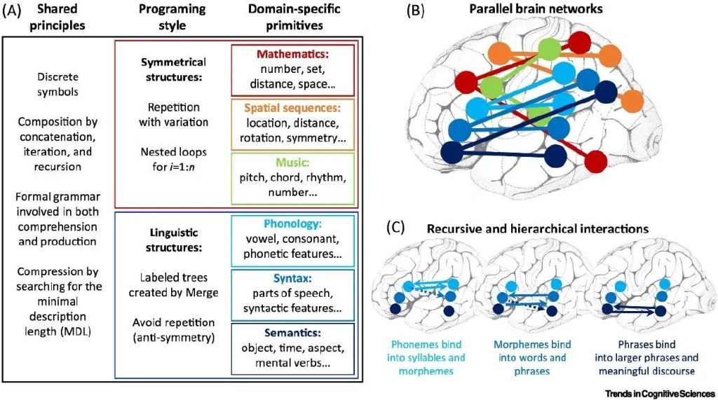收藏学习：Trends in Cognitive Sciences 2022年度综述