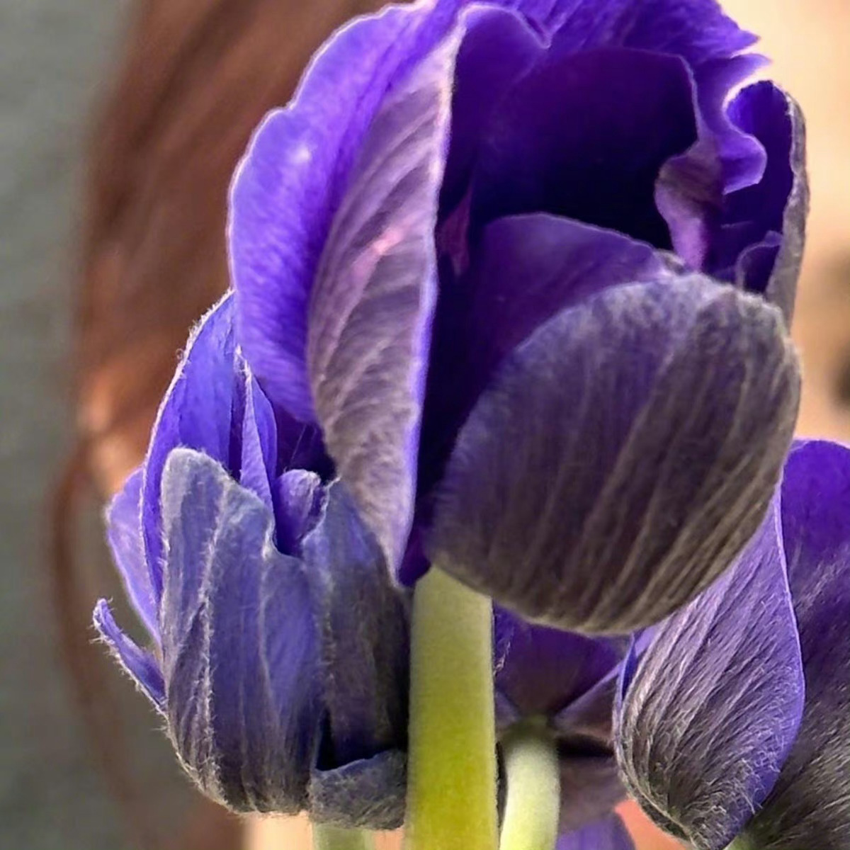 韩素希｜美神烟熏妆yyds！__财经头条