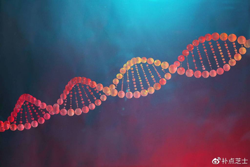 什么是DNA串联重复序列多态性?__财经头条