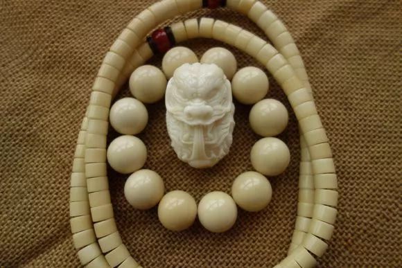 什么是象牙果？象牙果饰品如何把玩和养护？