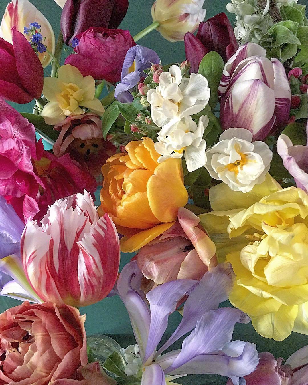 Flower ins：blossomanddill