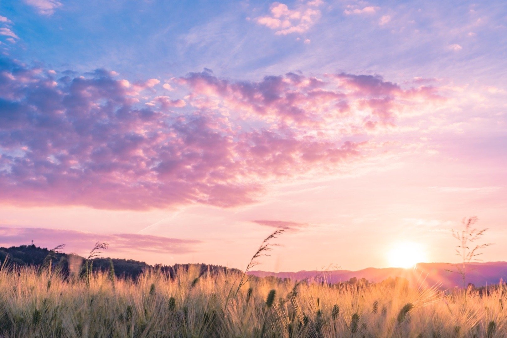 如动漫场景的夕阳，让你想起学生时代了吗twi:Akine Coco