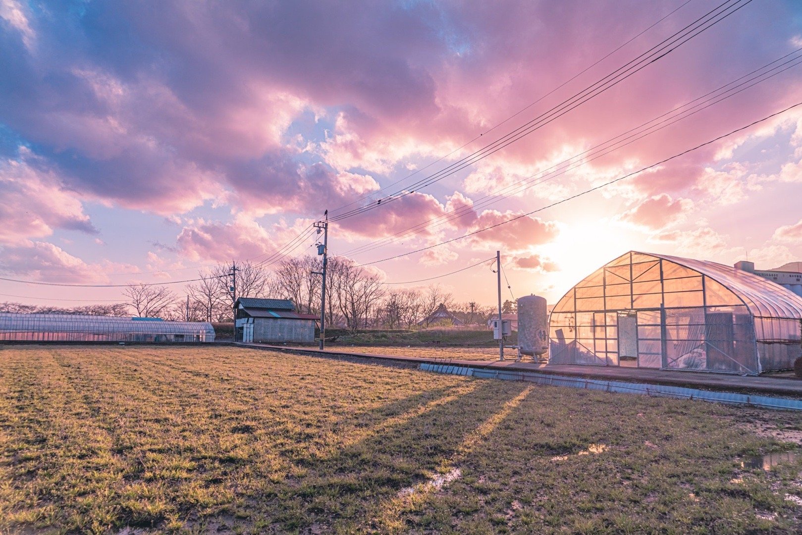 如动漫场景的夕阳，让你想起学生时代了吗twi:Akine Coco