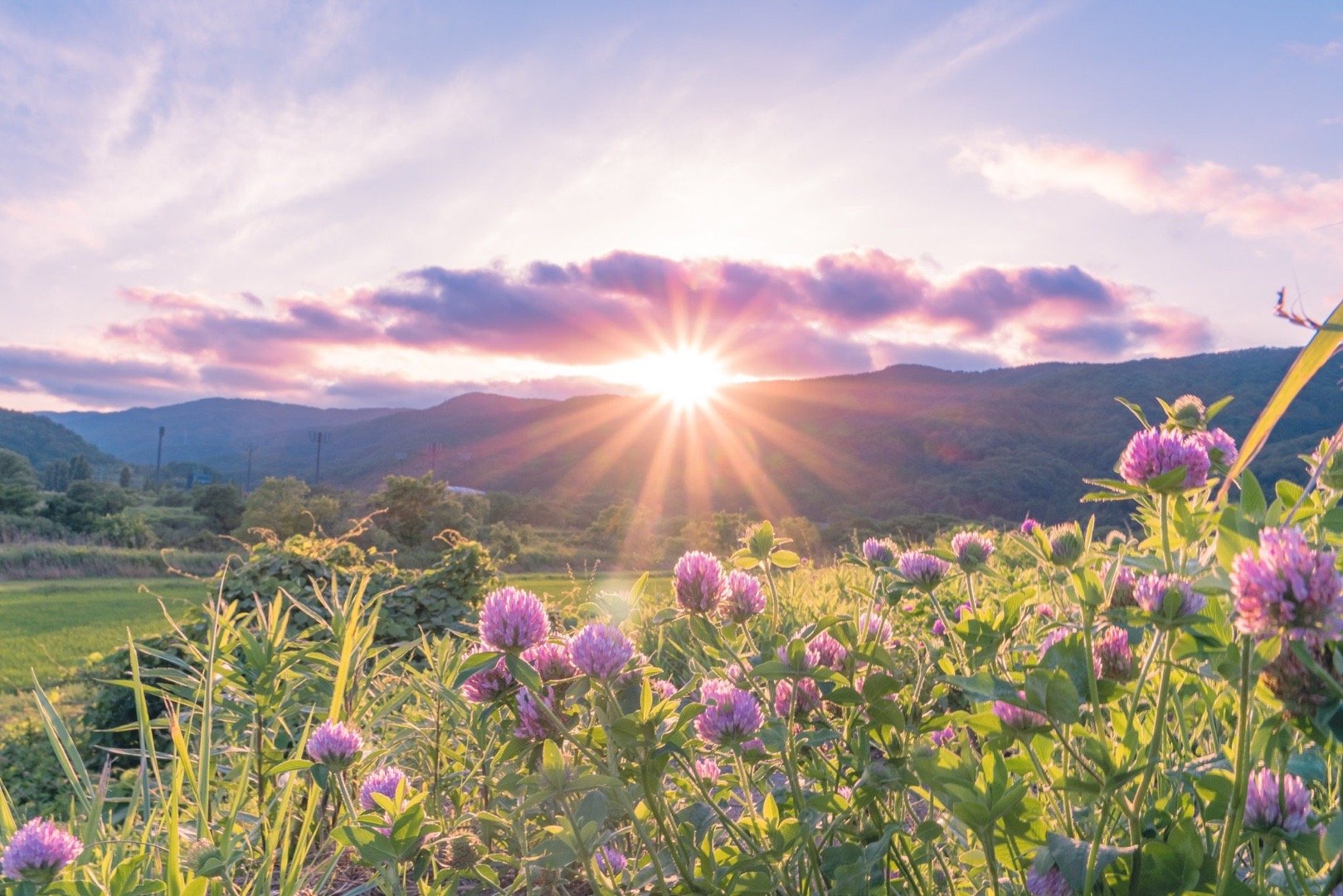如动漫场景的夕阳，让你想起学生时代了吗twi:Akine Coco
