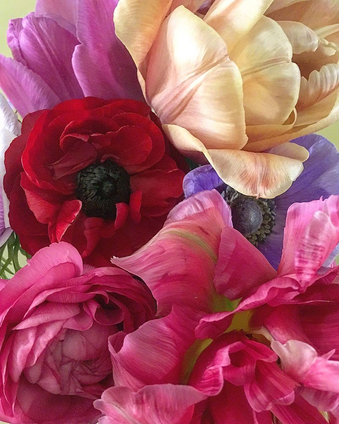 Flower ins：blossomanddill