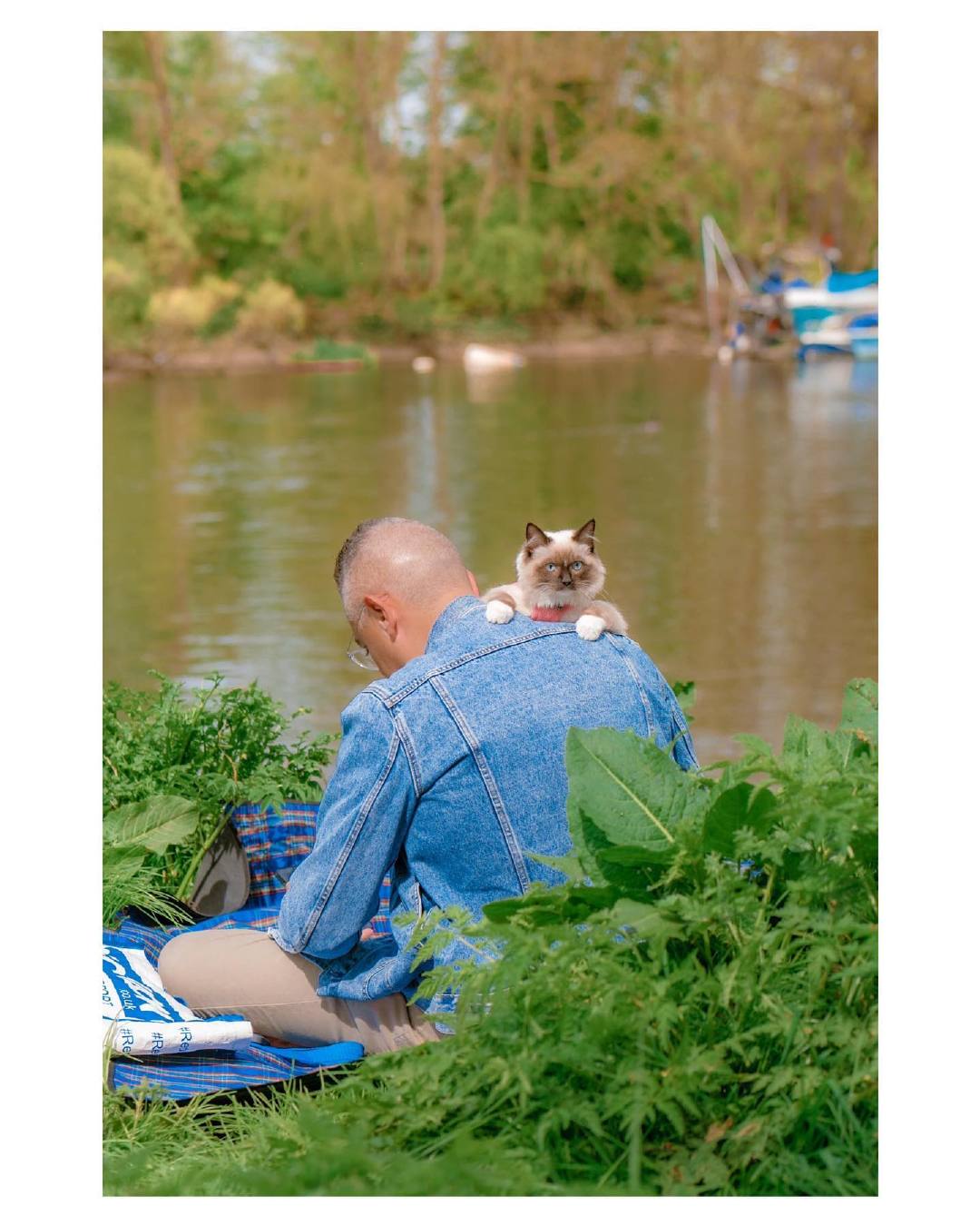 公园里的闲暇时光 | Josh Edgoose__财经头条