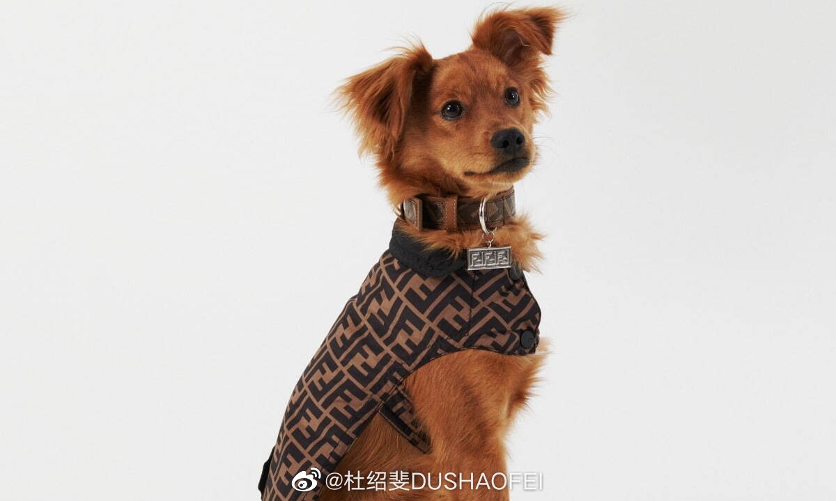FENDI推出宠物时尚配件「Fendi Pet Travel Line」……