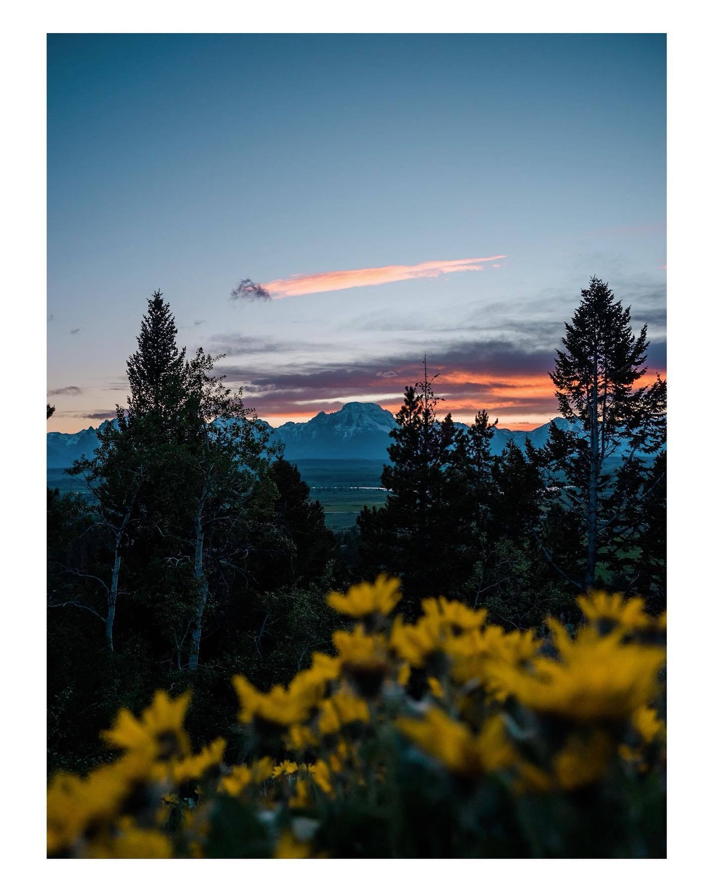 温柔的黄昏 | Nevin Johnson 胶片影像__财经头条