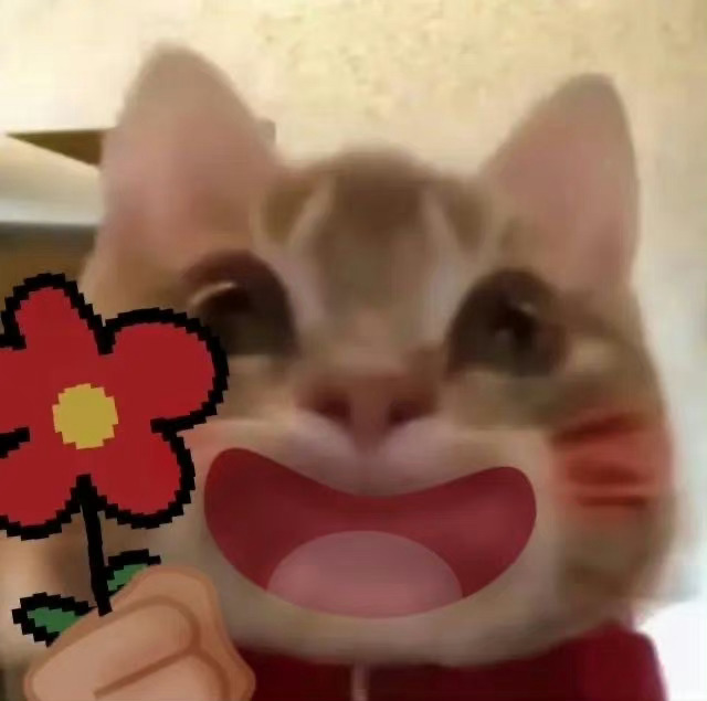 歪嘴小猫表情包来啦，喜欢的快收图吧__财经头条