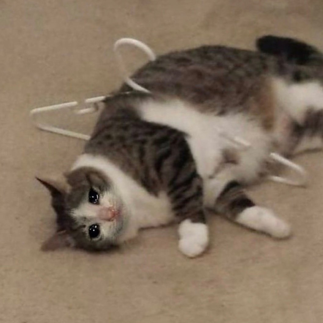 流泪猫猫头表情包~ 今天周四 难熬的猫猫 流泪猫猫头表情包~ 今天周四 难熬的猫猫