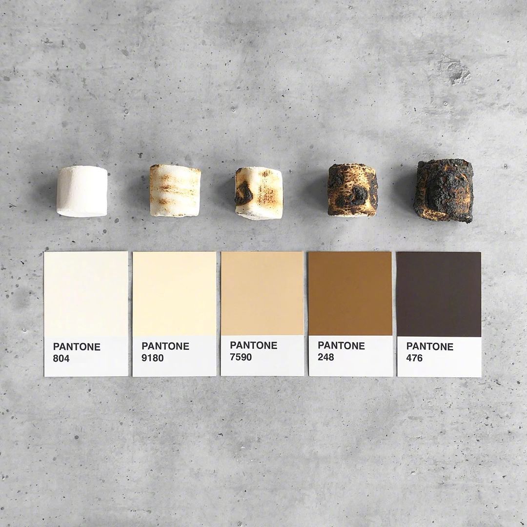 生活中的潘通色 | tom.lowe