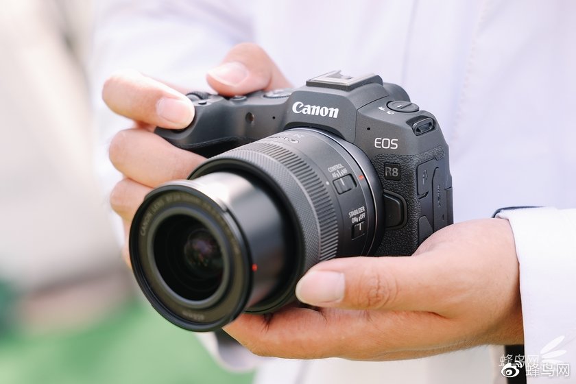 超轻挂机头 佳能RF24-50mm F4.5-6.3 IS STM评测__财经头条