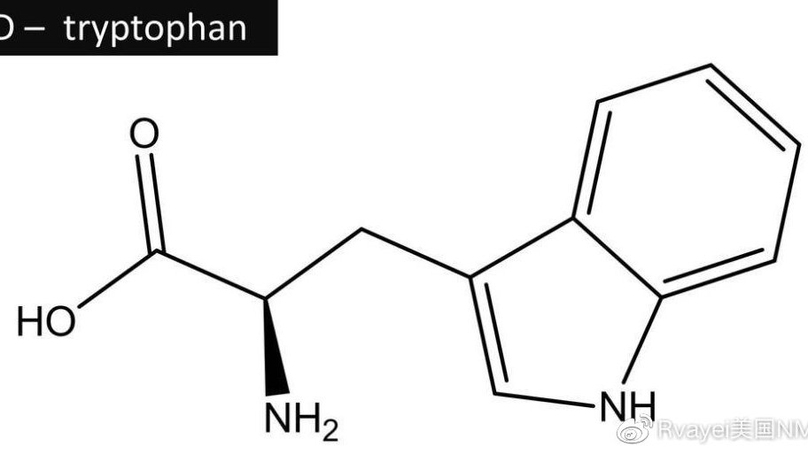 NAD+五大前体之一：Trp（色氨酸）|前体|色氨酸|衍生物_新浪新闻
