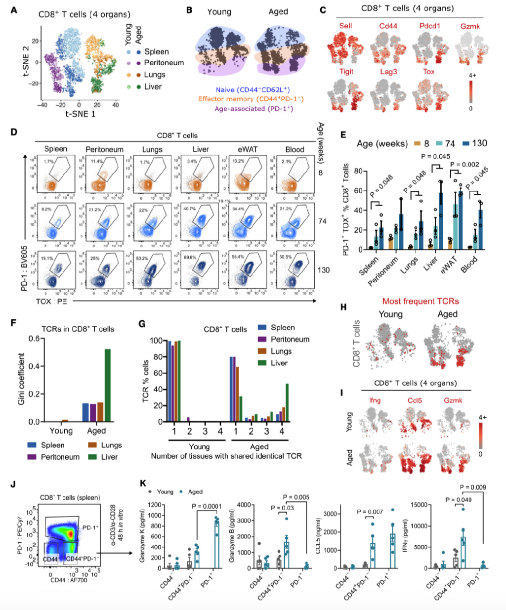 免疫学一区顶刊：质谱流式细胞单细胞蛋白组学揭示免疫衰老保守标志物|细胞|小鼠|免疫_新浪新闻