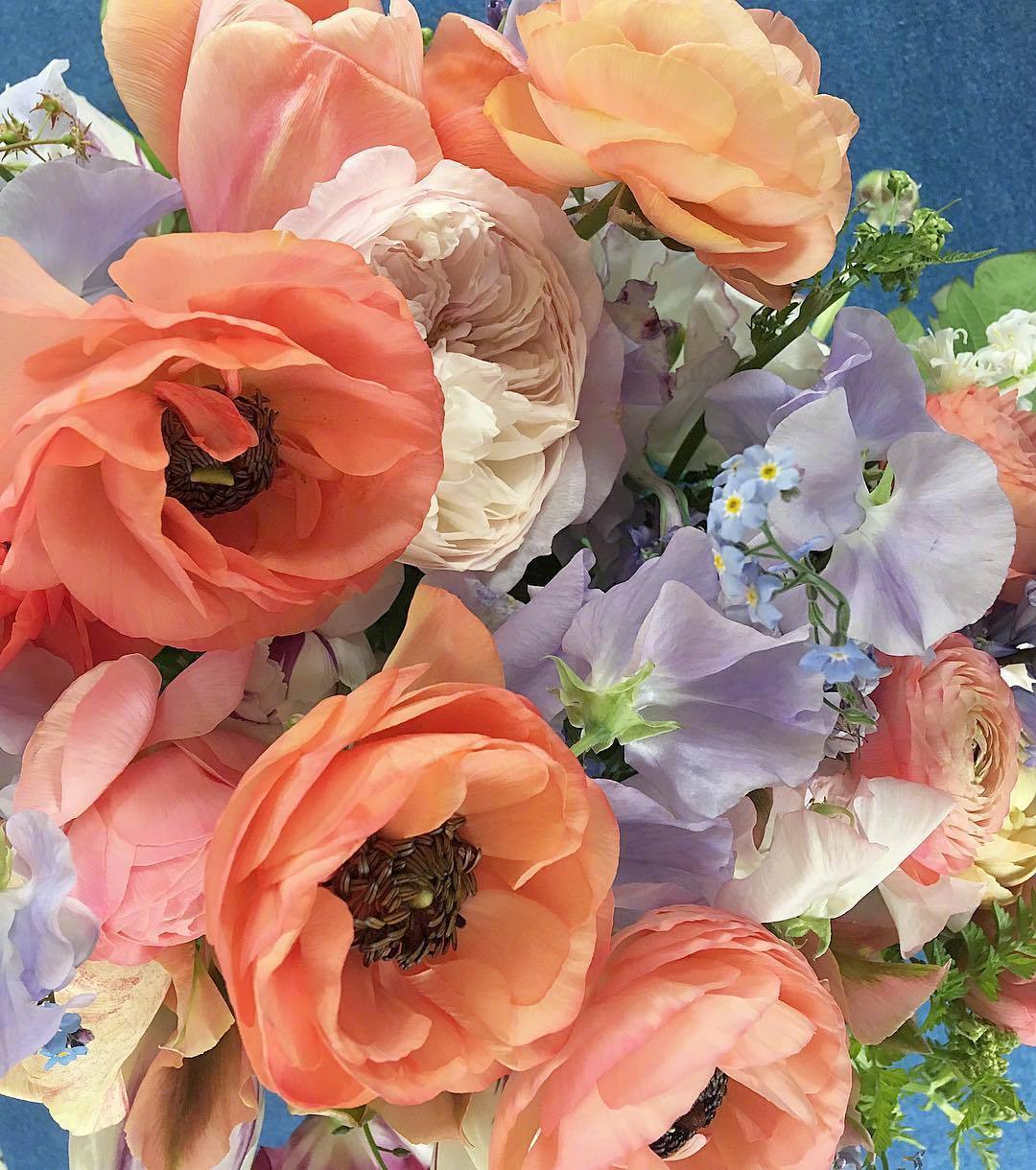 Flower ins：blossomanddill