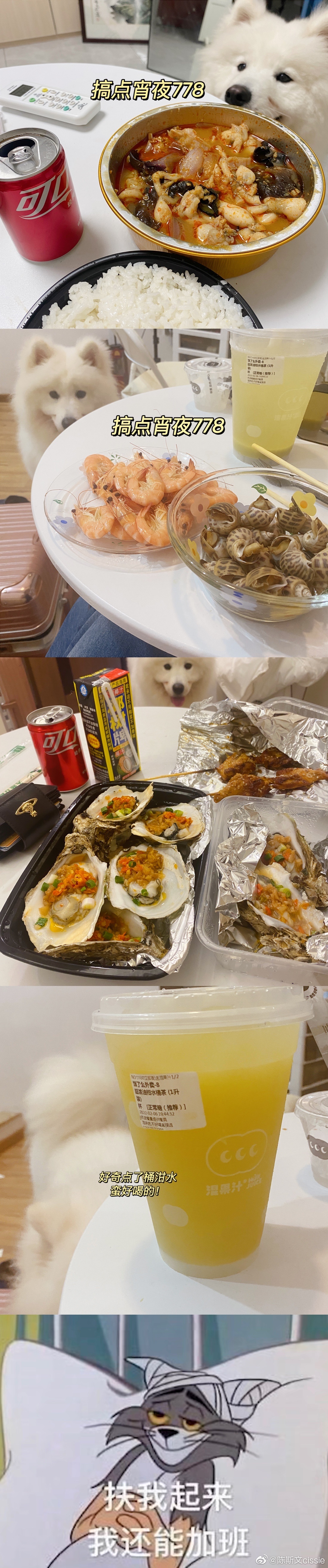 距离上次发plog还是上次呢！