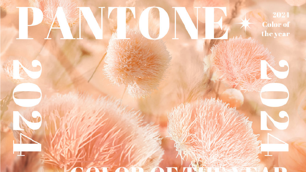 论坛速递丨Pantone 2024年度代表色及色彩趋势解读|Pantone_新浪新闻