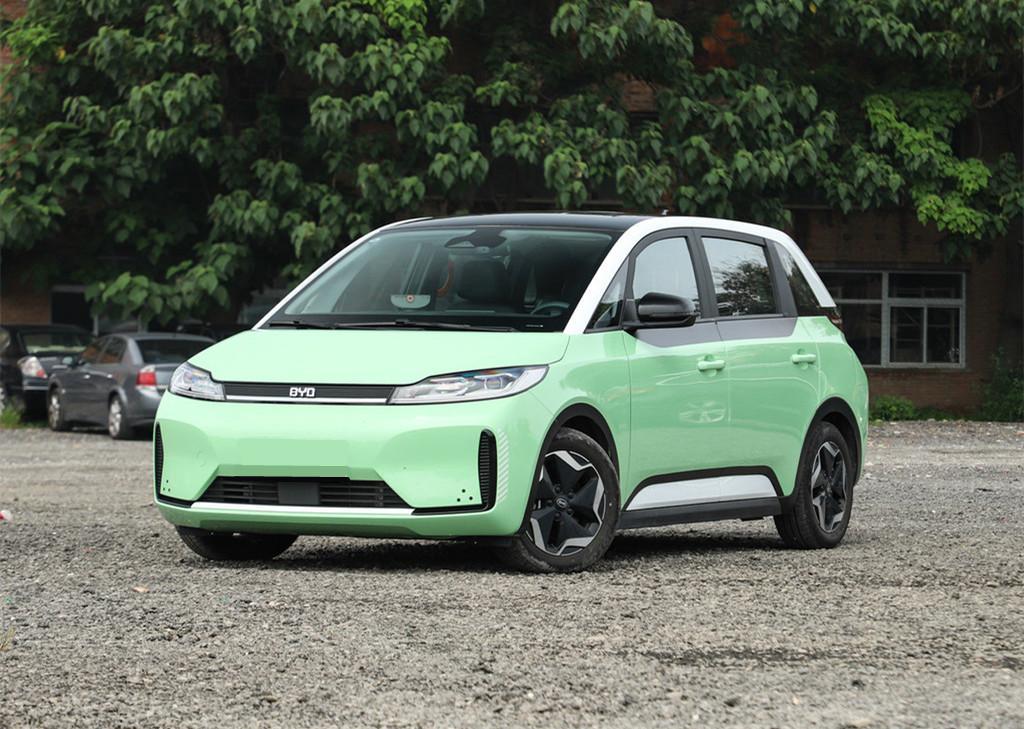 比亚迪D1标准版上市，侧滑门，5座，面向个人市场销售-新浪汽车