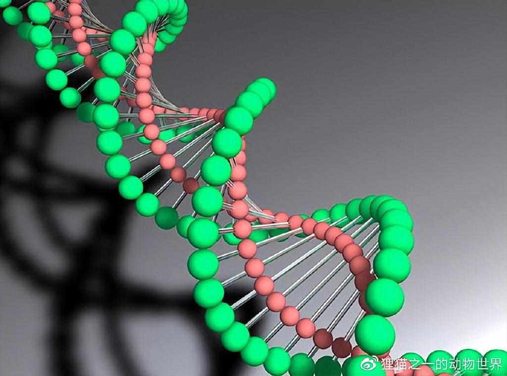 关于人类起源，科学家有新见解：人类并非由单一非洲种群孕育__财经头条