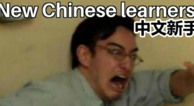 外国人用梗图吐槽中文难学,和学英语的我没区别,看完笑出鹅叫|外国人|学英语|鹅_新浪新闻