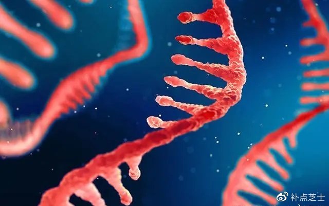 RNA的分类有哪些？简单聊聊信使RNA和转移RNA__财经头条
