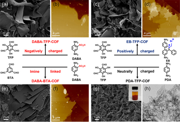 跨学科合作！天大教授单相法合成COF纳米片！|纳米|教授|燃料电池_新浪新闻