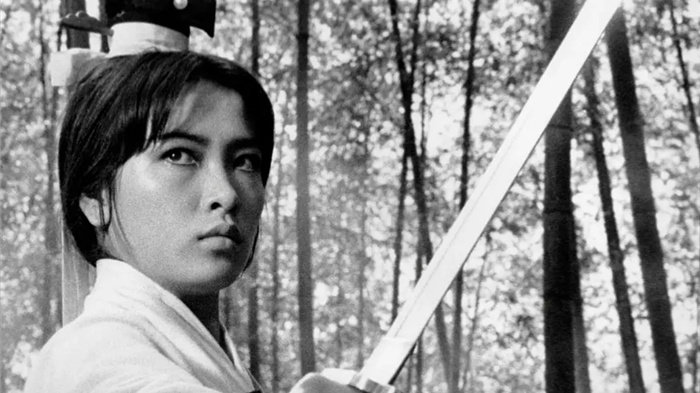 四年磨一剑，《侠女》获戛纳大奖，奠定胡金铨世界电影大师地位|侠女|戛纳|胡金铨_新浪新闻