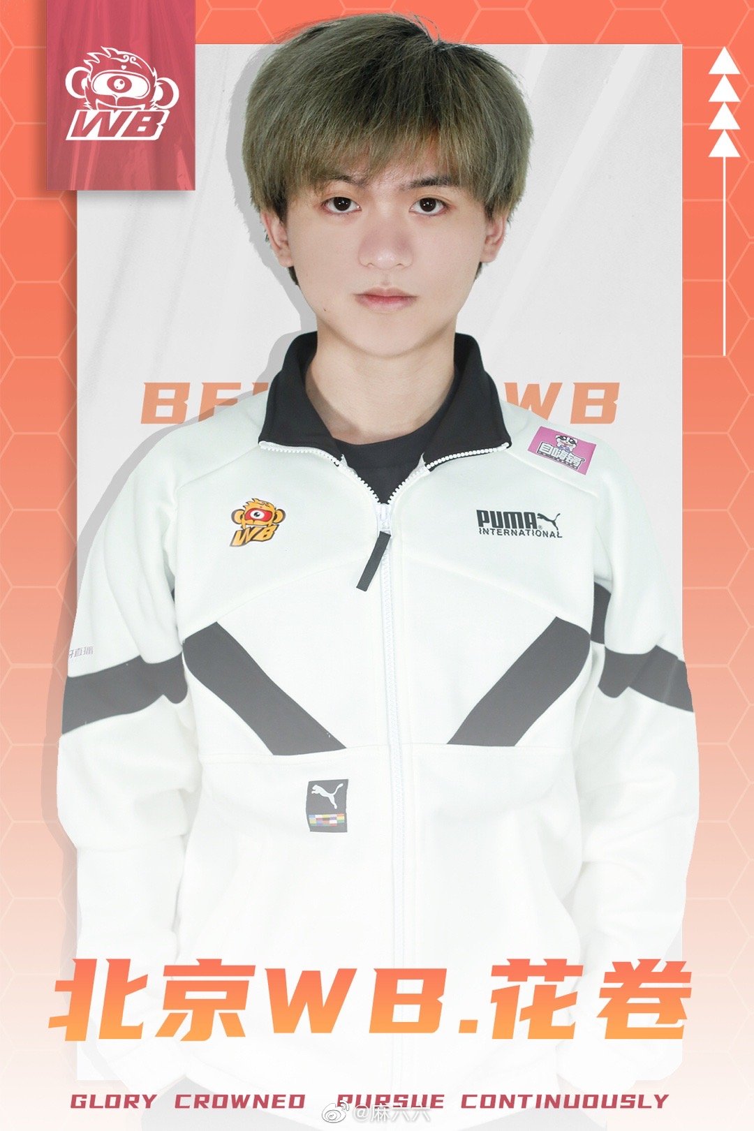 北京WB官宣花卷，你觉得百段中单卷神的加入……__财经头条