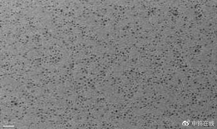 什么是二硫化钨量子点？