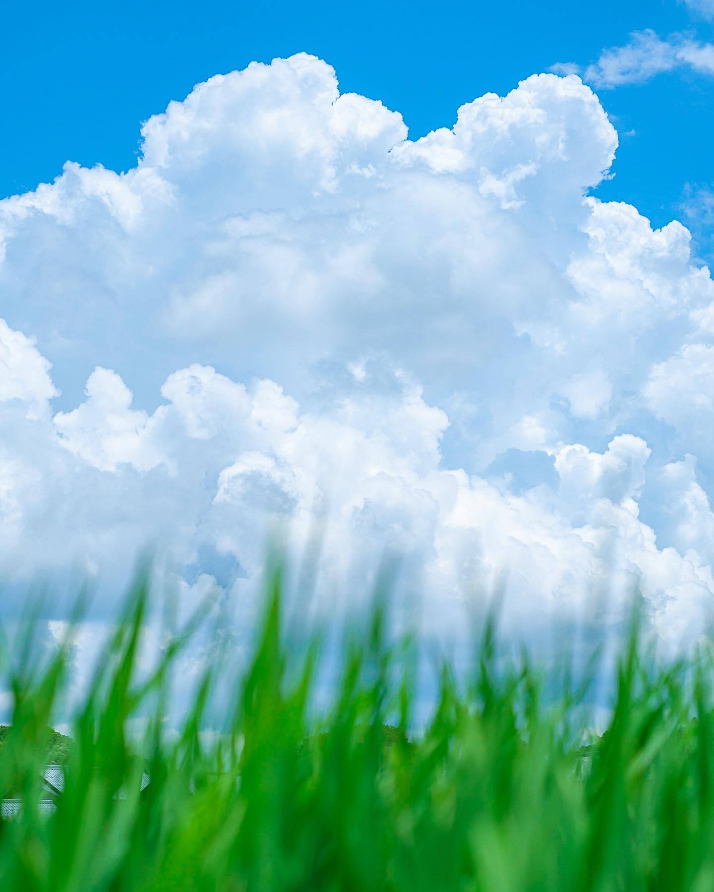 云 ，Kosuke Okude仿如 动漫场景般的街头影像__财经头条