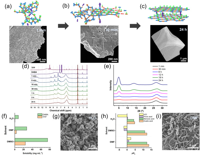 跨学科合作！天大教授单相法合成COF纳米片！|纳米|教授|燃料电池_新浪新闻