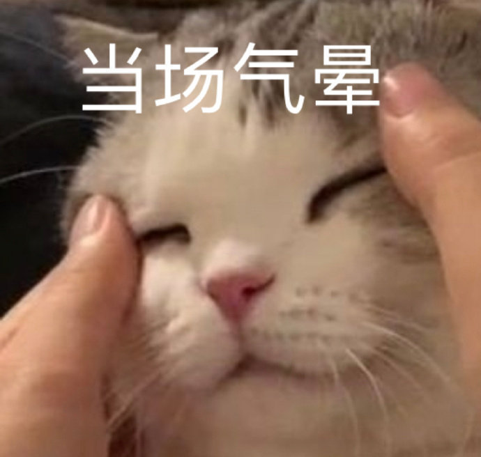 今日份可爱表情包合集，下午好