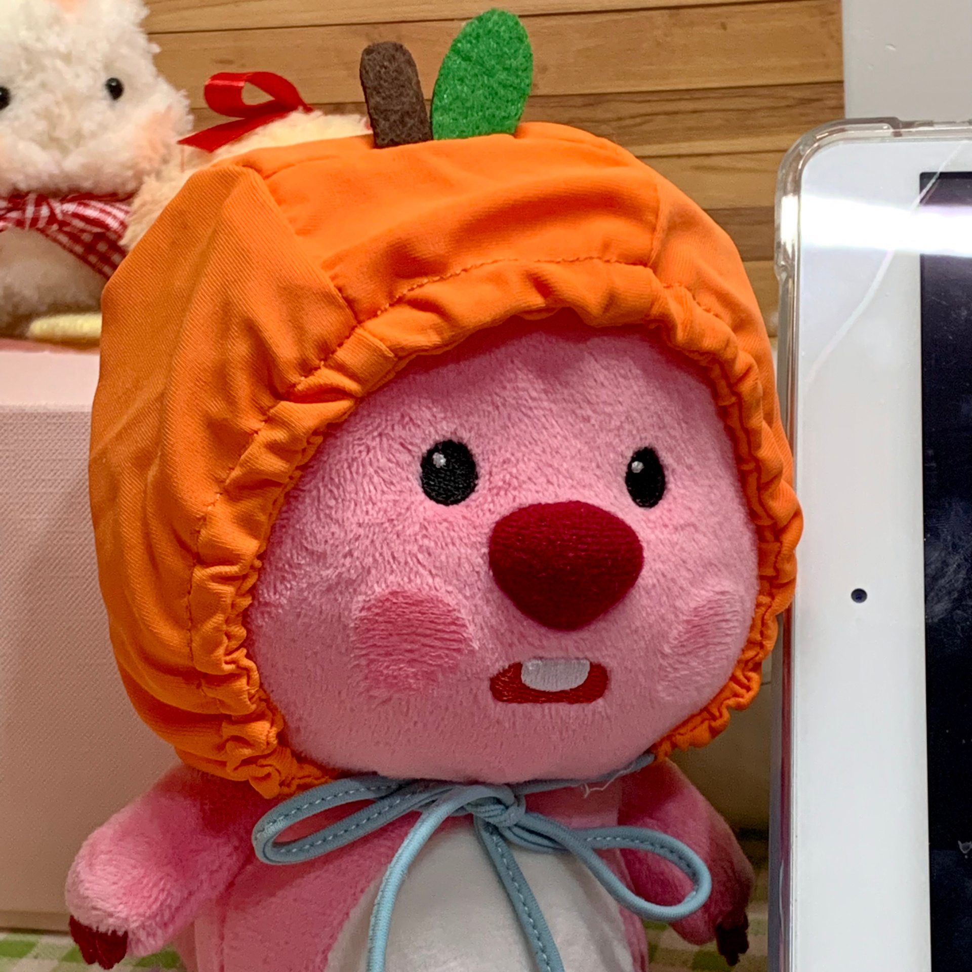 小海狸Loopy__财经头条