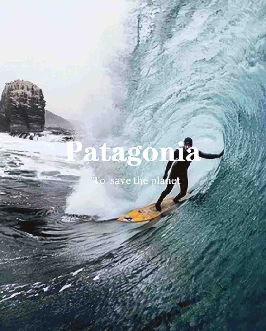 史无前例！为环保事业把公司捐掉，“地球”是这家公司唯一的股东__财经头条