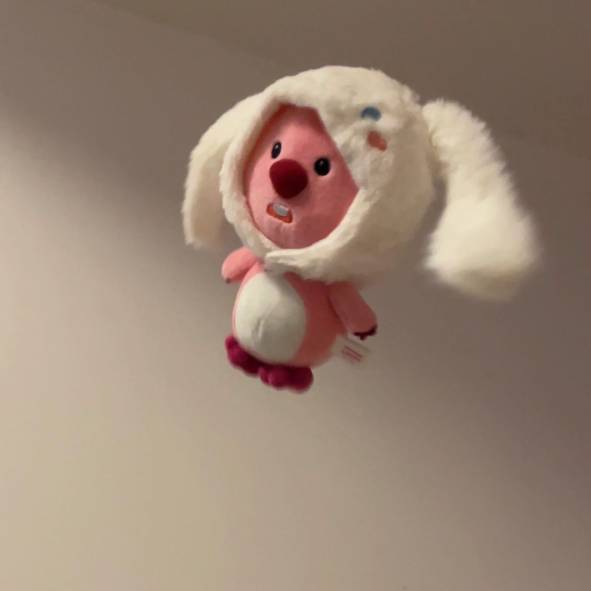 小海狸Loopy__财经头条