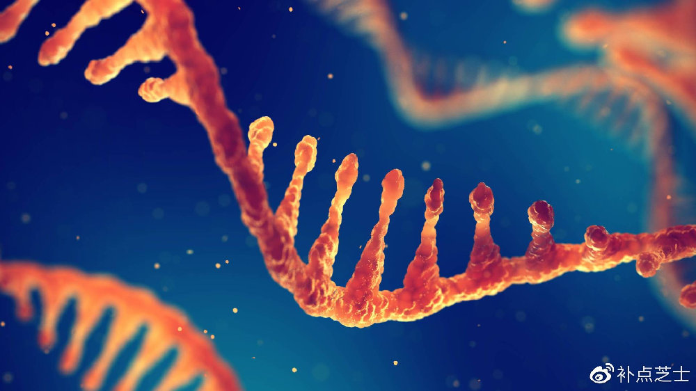 RNA的分类有哪些？简单聊聊信使RNA和转移RNA|非编码RNA|密码子|信使_新浪新闻