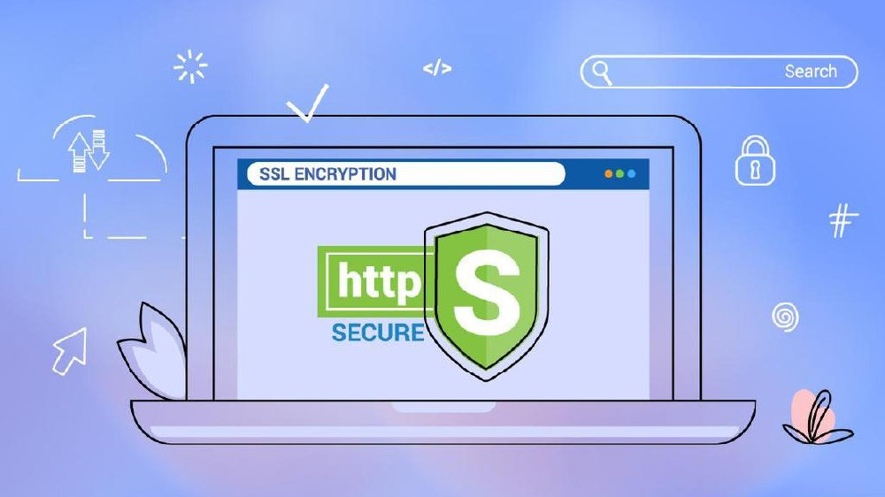 2025年SSL证书申请攻略|GlobalSign|DigiCert|证书_新浪新闻