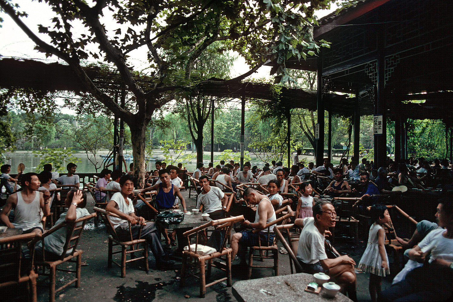 1981年，成都盛夏的午后。Photo by Bill Hocker