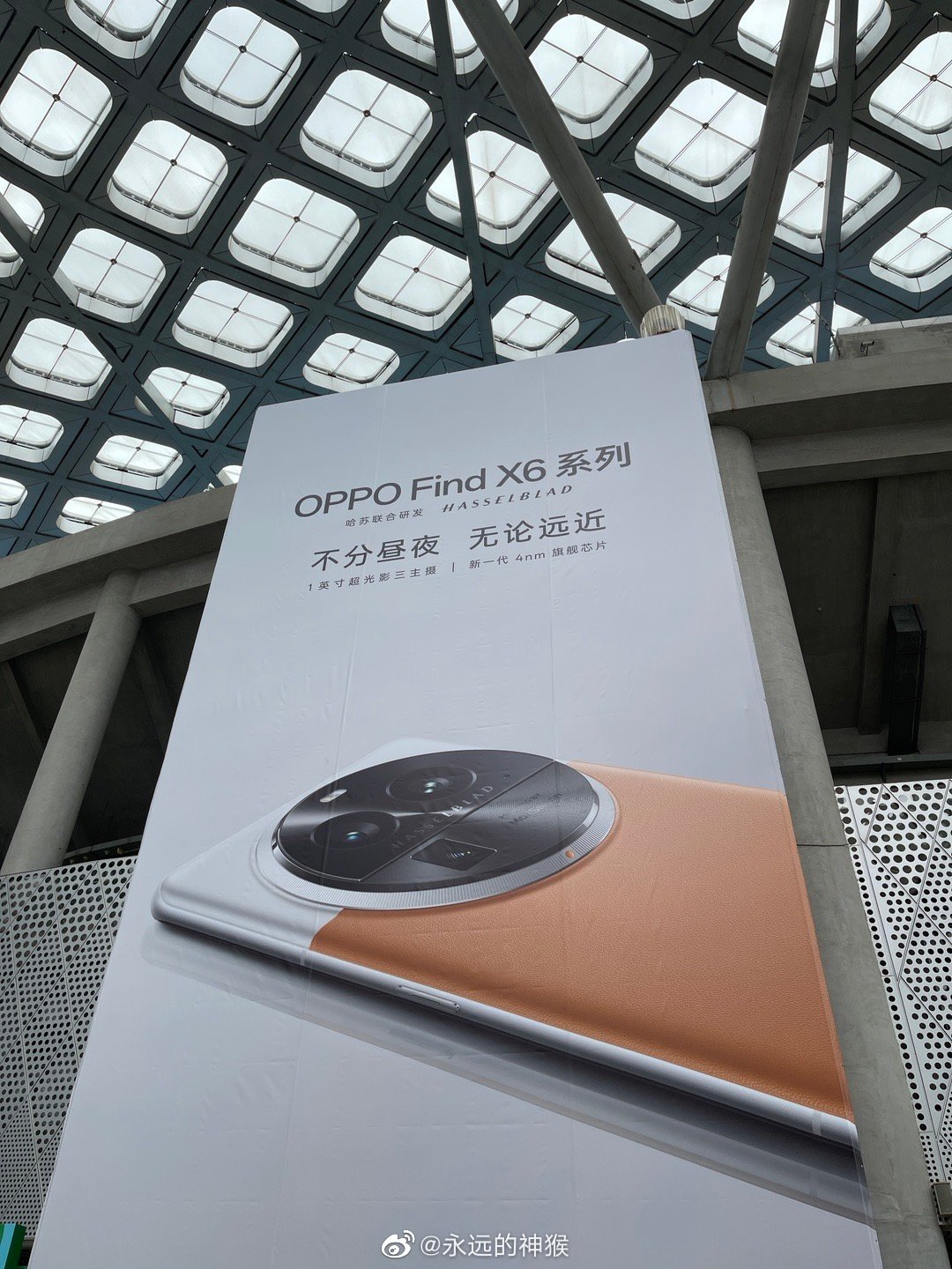 Find X系列在影像领域的探索和创新从未停止……__财经头条