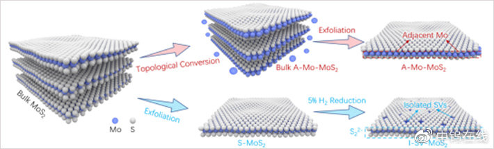 Mo封端单层MoS2实现高效电催化固氮