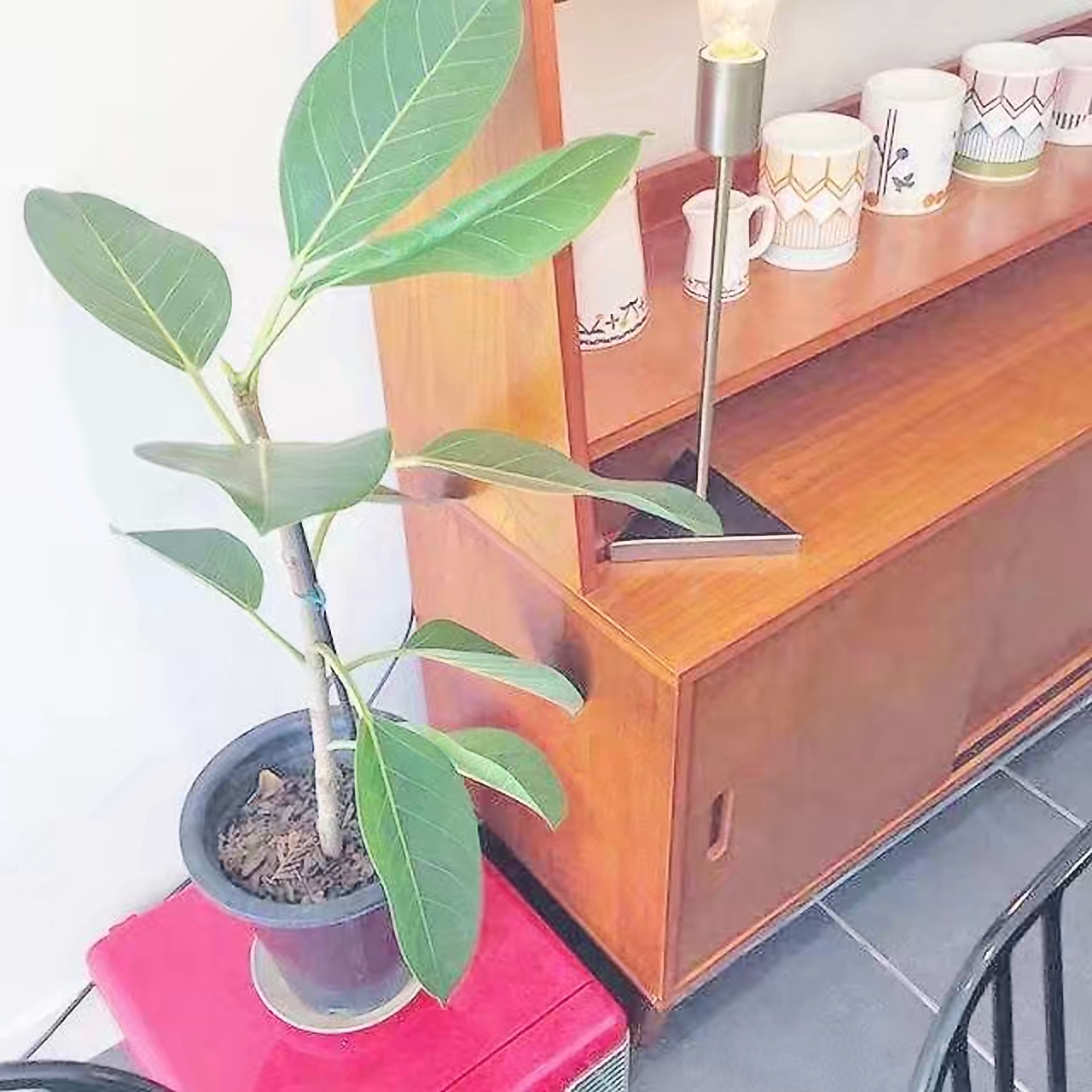 “Life's greatest regret，than the wrong insist