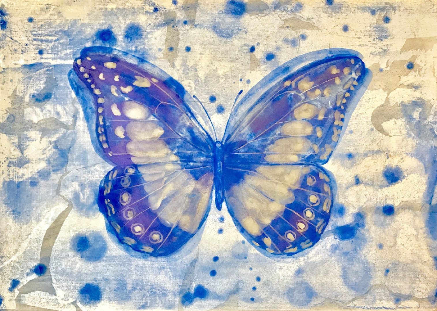 🦋 蓝色梦蝶 蝴蝶为花碎，花却随风飞。 Hiroko Otake