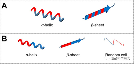 集美大学曹敏杰等：多肽和蛋白水解物作为乳化剂对乳液物理和氧化稳定|抗氧化|多肽|乳液_新浪新闻