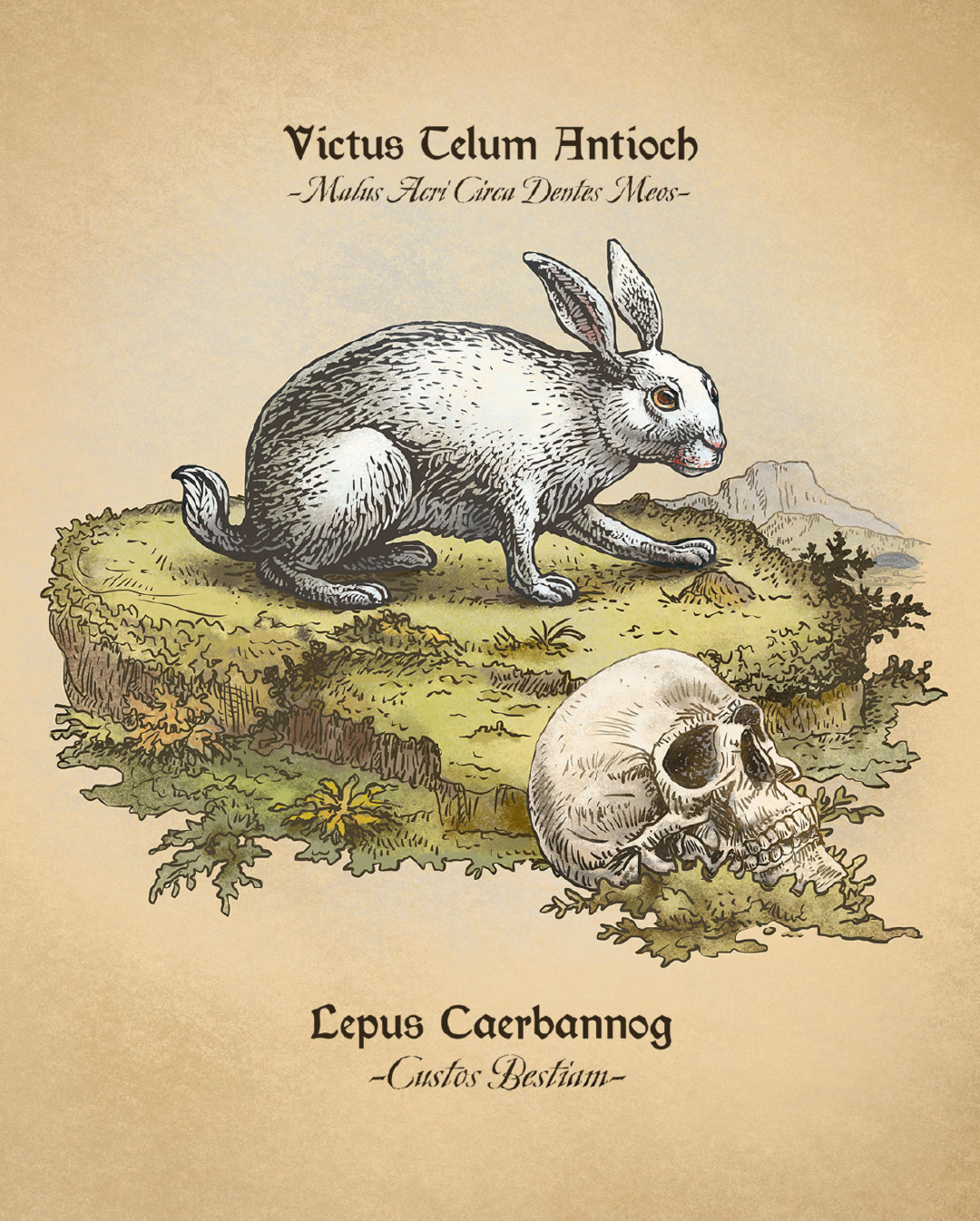 非自然历史奥斯汀插画家 Chet Phillips 在他的“Chet Phillips”系