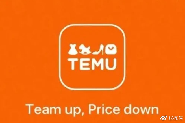 张栋伟：入驻Temu真能赚到钱吗？__财经头条