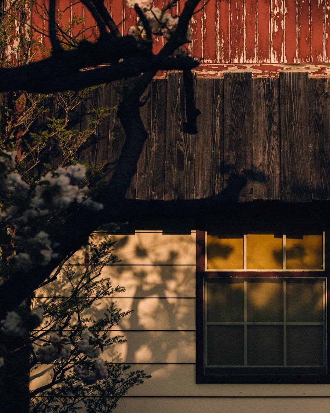 浓烈的色彩，质感的光影 | Robbie Lawrence生活影像