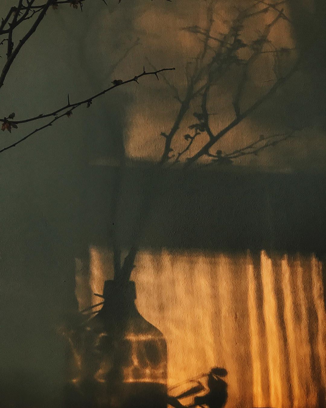 浓烈的色彩，质感的光影 | Robbie Lawrence生活影像