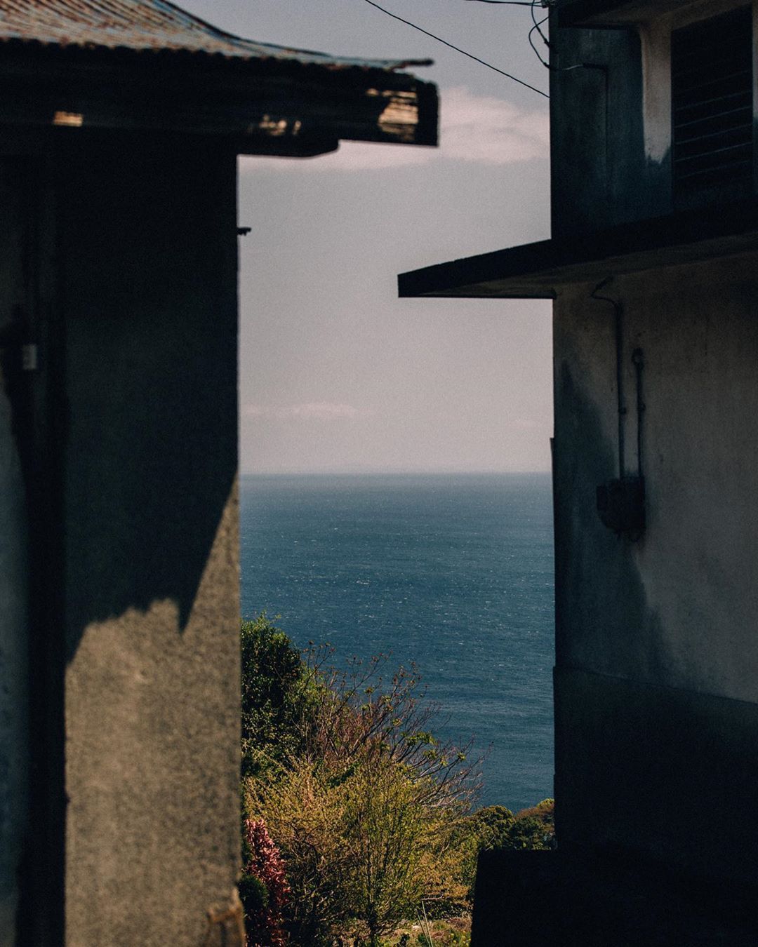 浓烈的色彩 | Robbie Lawrence质感夏日影像